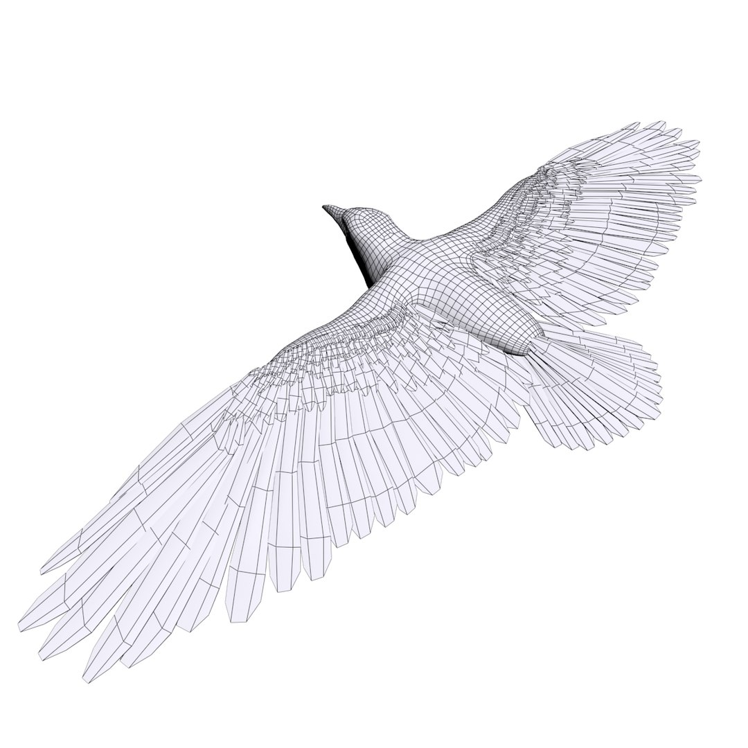 3D Raven 3d - TurboSquid 1766209