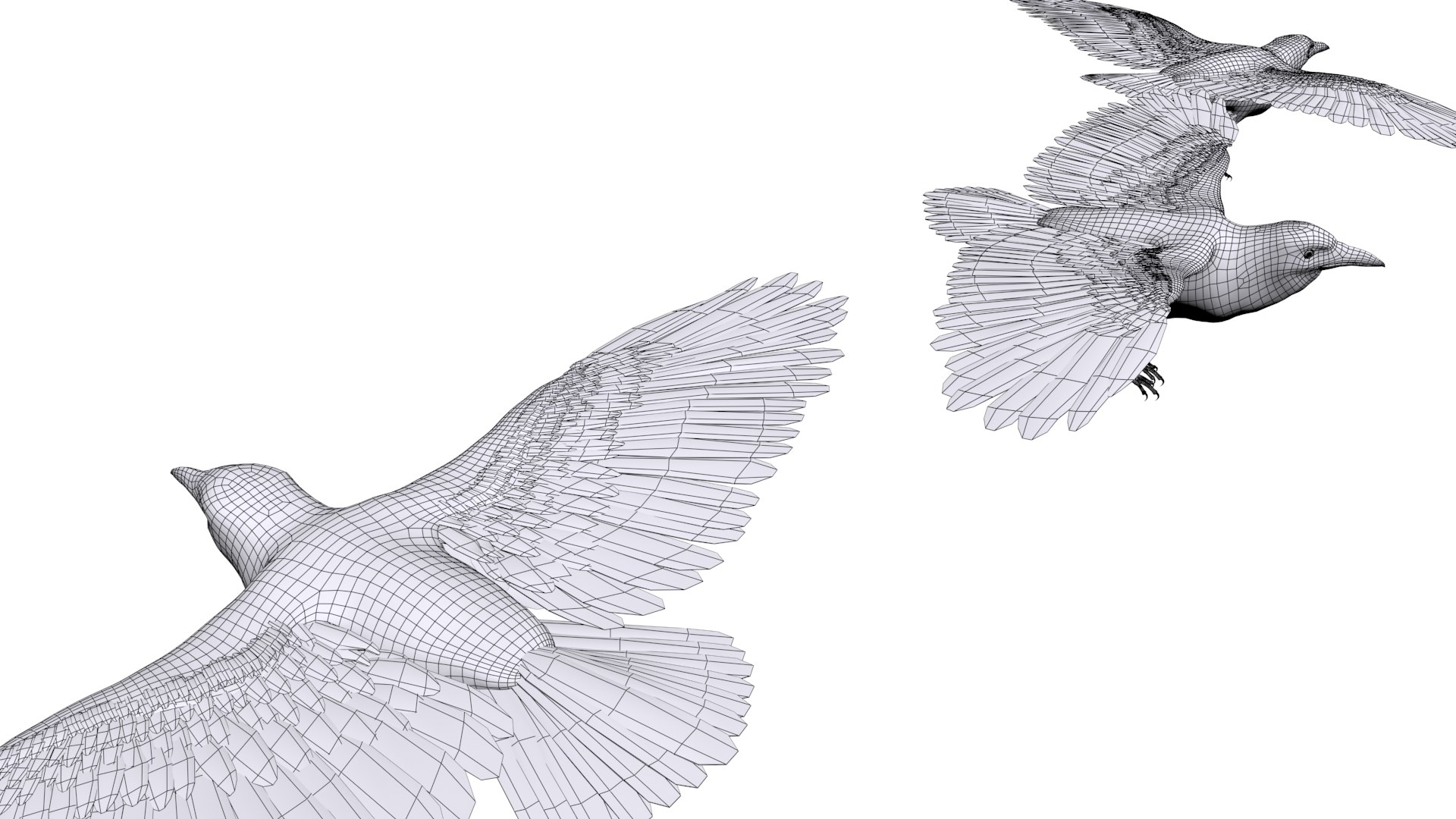 3D Raven 3d - TurboSquid 1766209