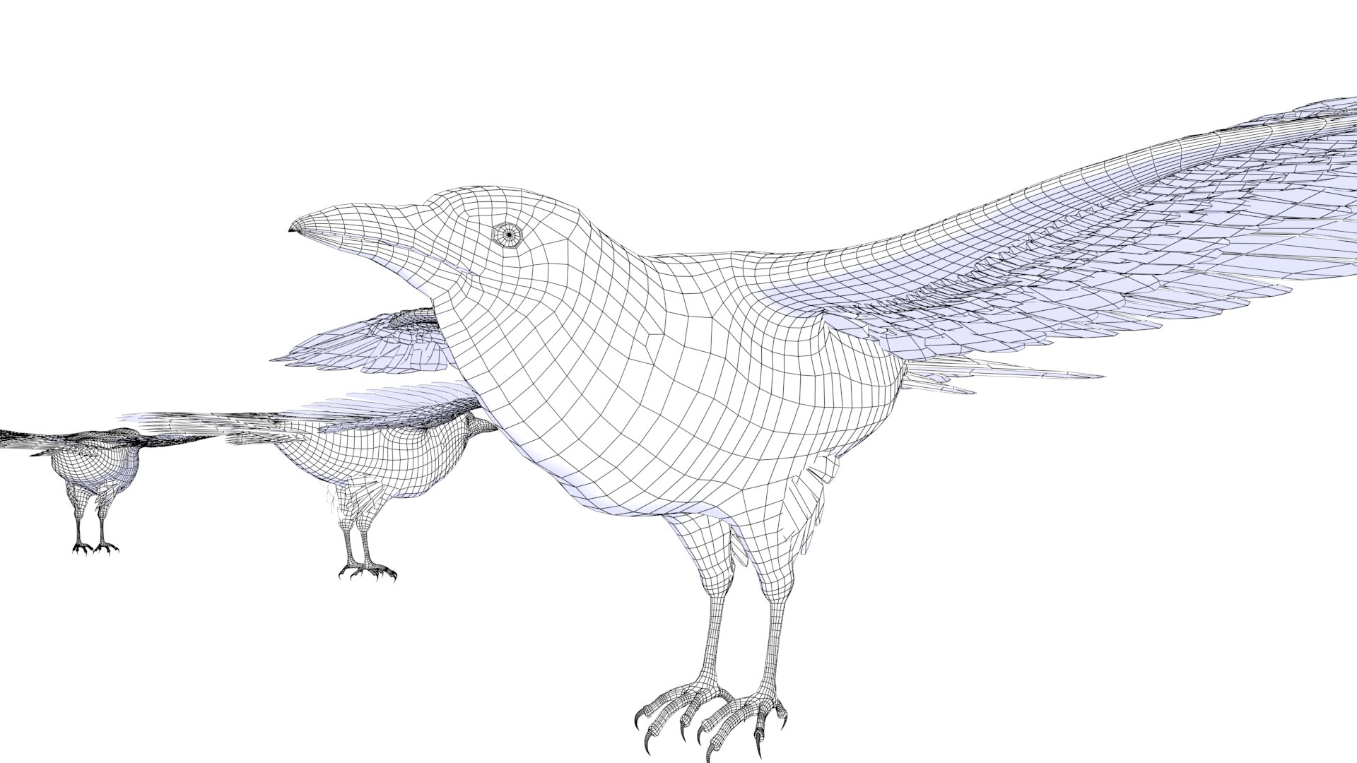 3D Raven 3d - TurboSquid 1766209