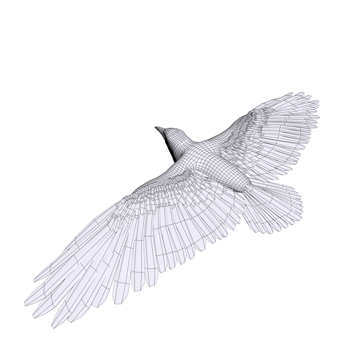 3D Raven 3d - TurboSquid 1766209