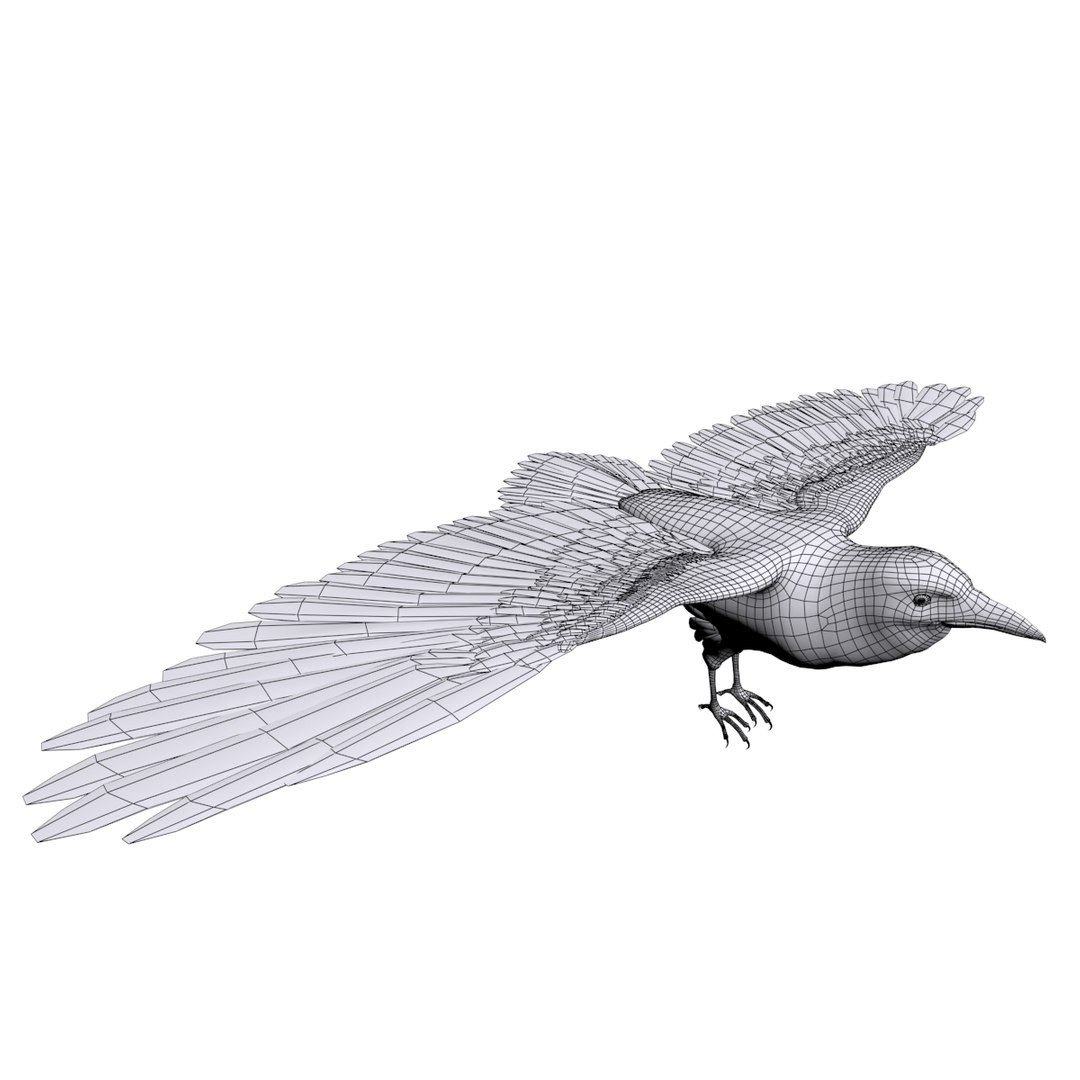 3D Raven 3d - TurboSquid 1766209