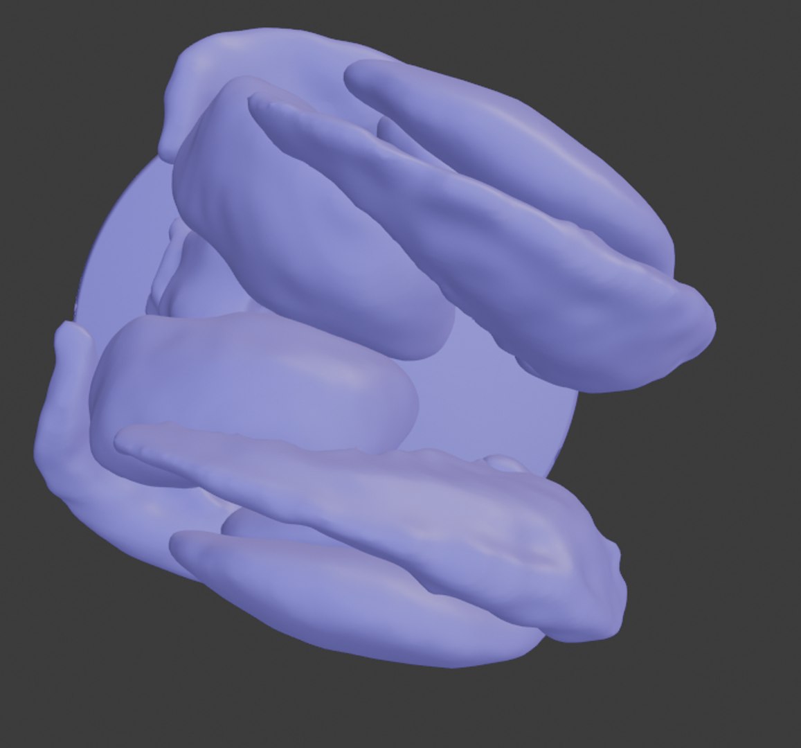 Human Subcortex From MRI Scan 3D Model - TurboSquid 1849263