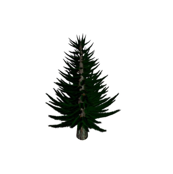 Pine Tree 3D Models for Download | TurboSquid