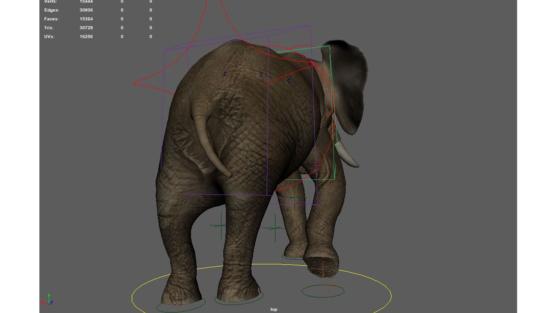 Elephant Animation 3D - TurboSquid 2421889