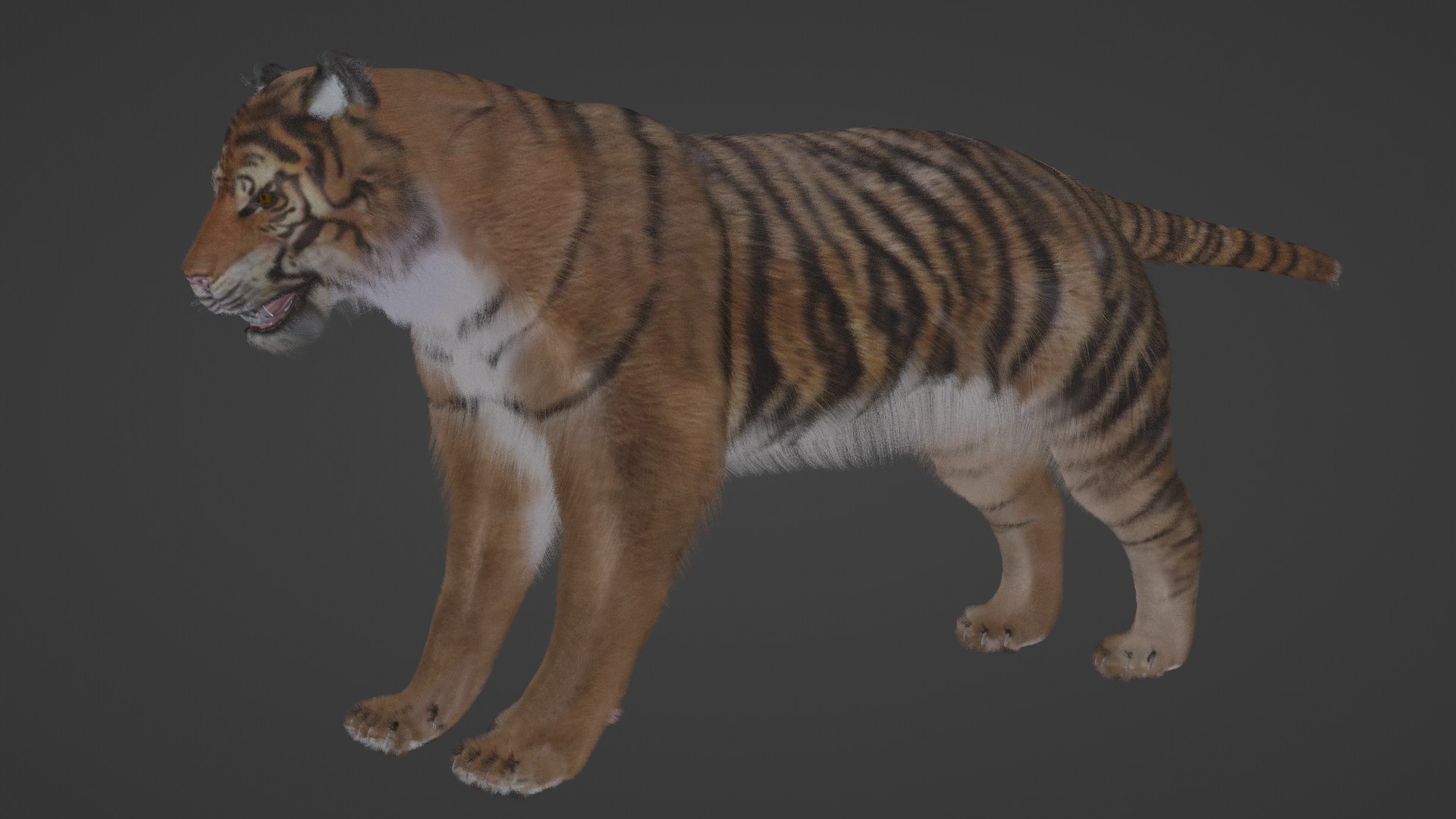 TIGER 3D Model - TurboSquid 2091171