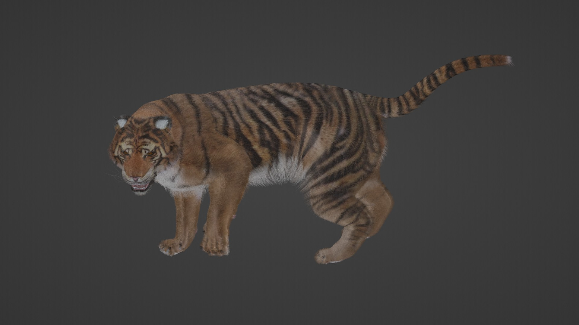 TIGER 3D Model - TurboSquid 2091171