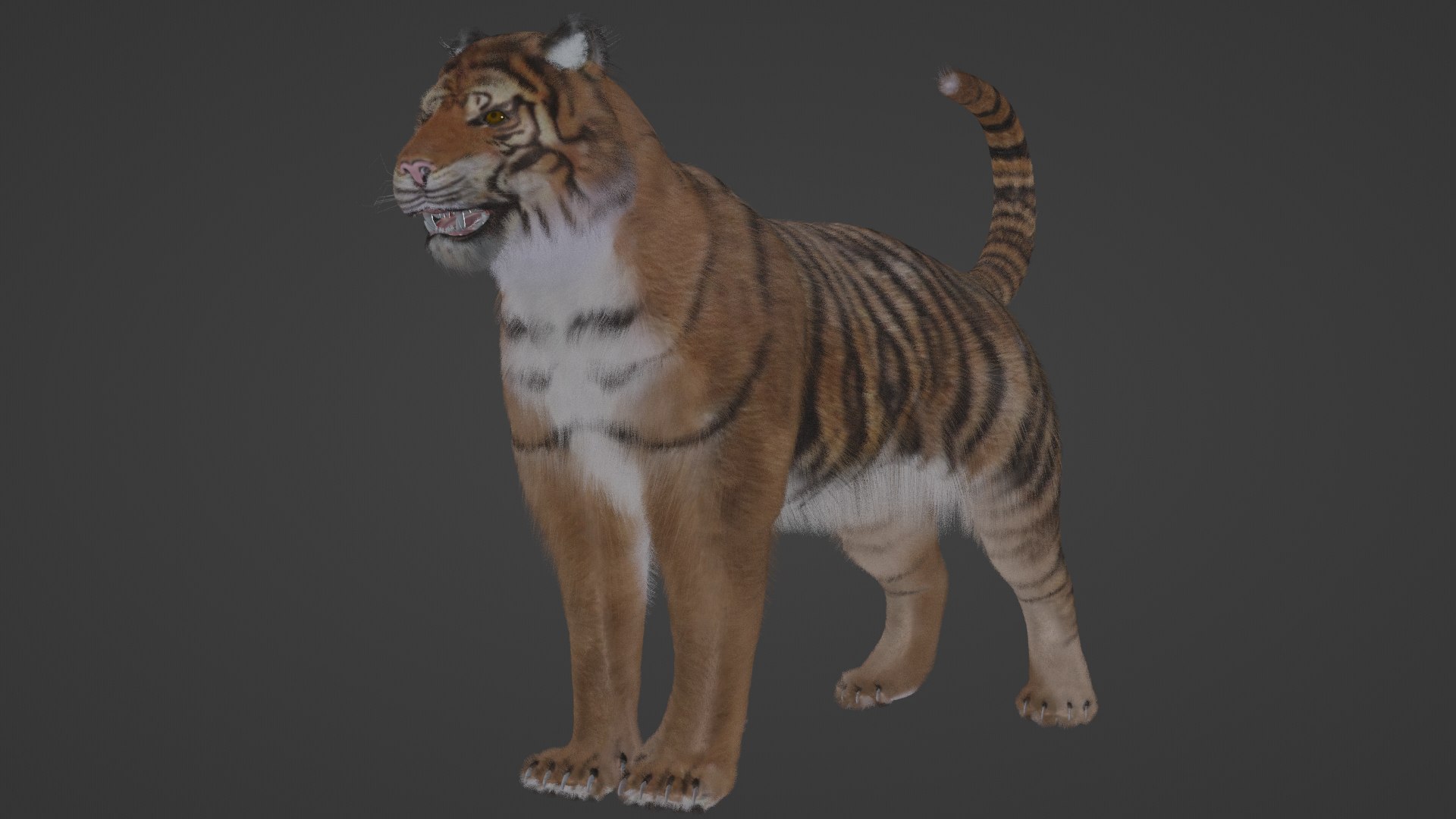 TIGER 3D Model - TurboSquid 2091171