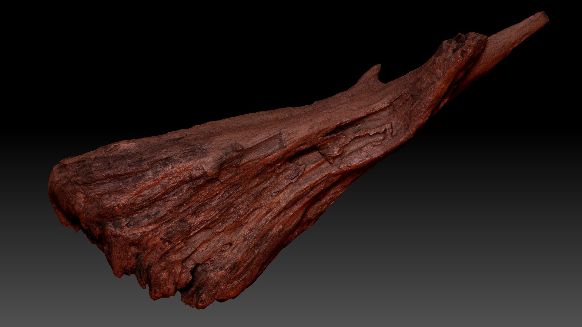 Dead Tree Root 3D Scan In Highpoly 3D Model - TurboSquid 2226590