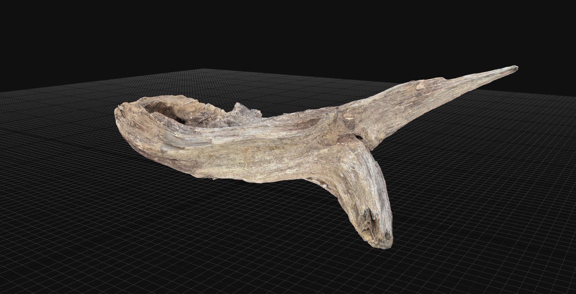 Dead Tree Root 3D Scan In Highpoly 3D Model - TurboSquid 2226590