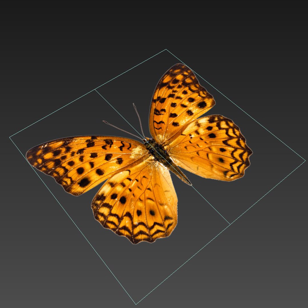 Butterflies Flies Simple 3D Model - TurboSquid 1208907