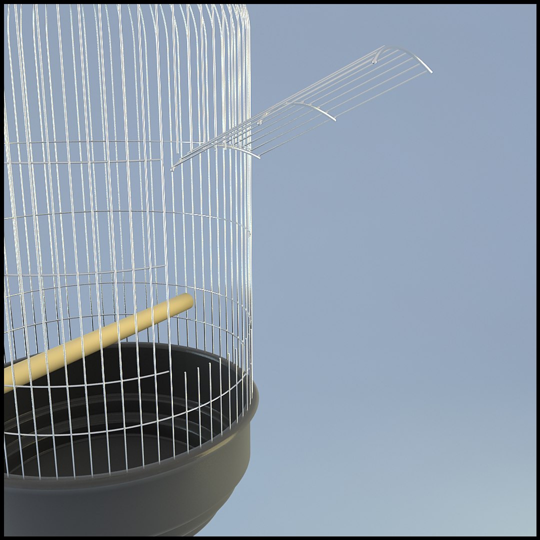 Bird Cage C4d