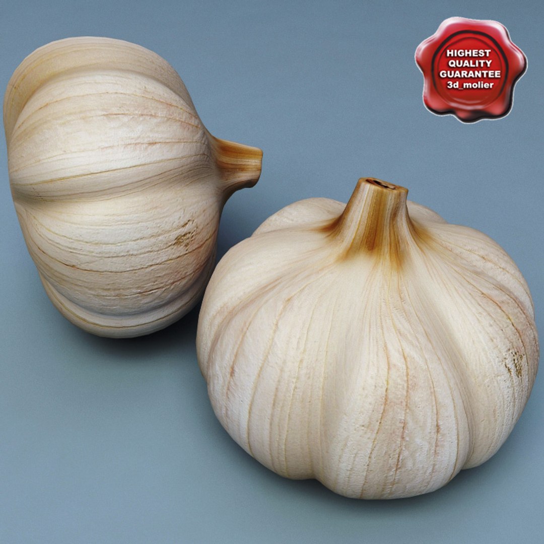 3d model of garlic modelled