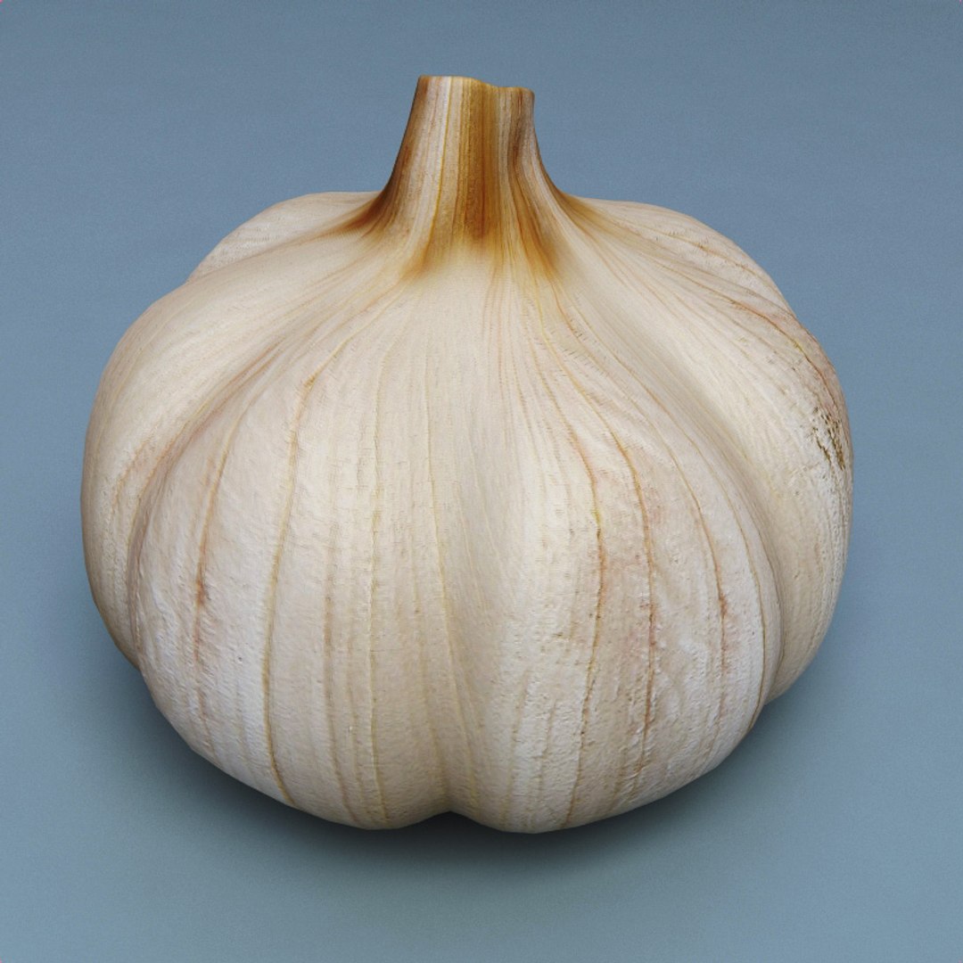 3d model of garlic modelled