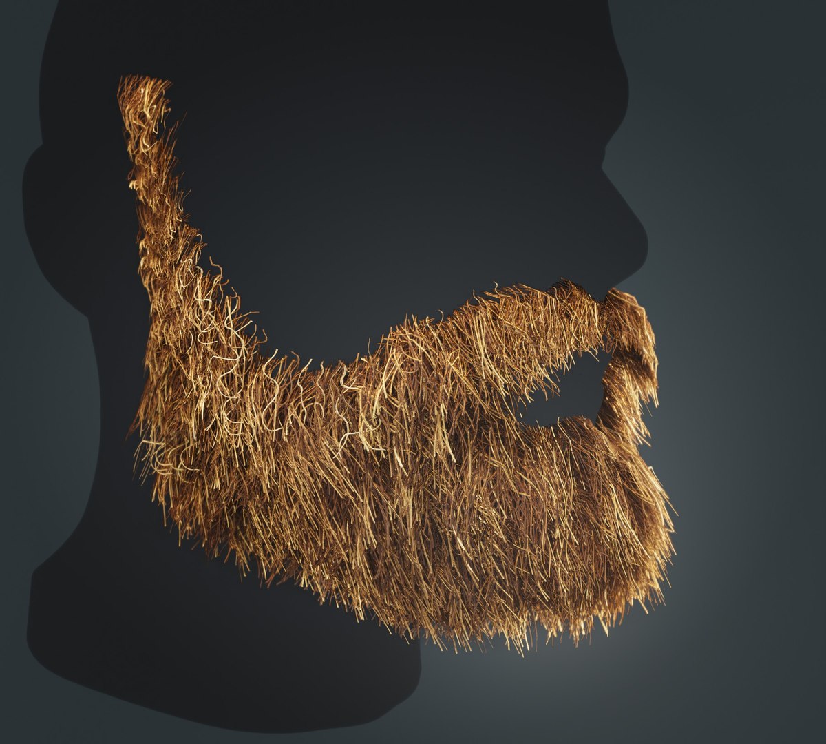 Beard RealTime 17 Version 1 3D Model - TurboSquid 1892389
