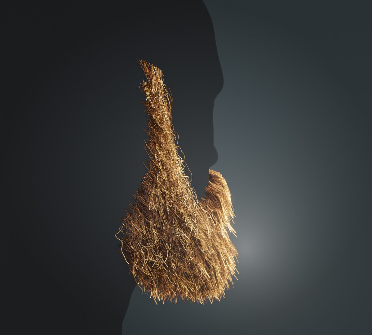 Beard RealTime 17 Version 1 3D Model - TurboSquid 1892389