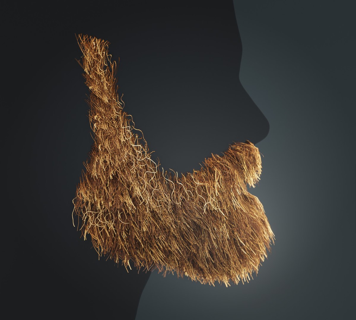 Beard RealTime 17 Version 1 3D Model - TurboSquid 1892389