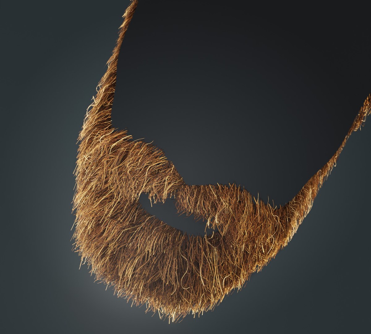 Beard RealTime 17 Version 1 3D Model - TurboSquid 1892389