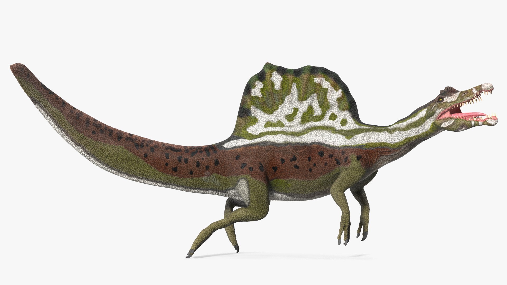 3D Dinosaur Spinosaurus Green Swimming Pose - TurboSquid 2274984