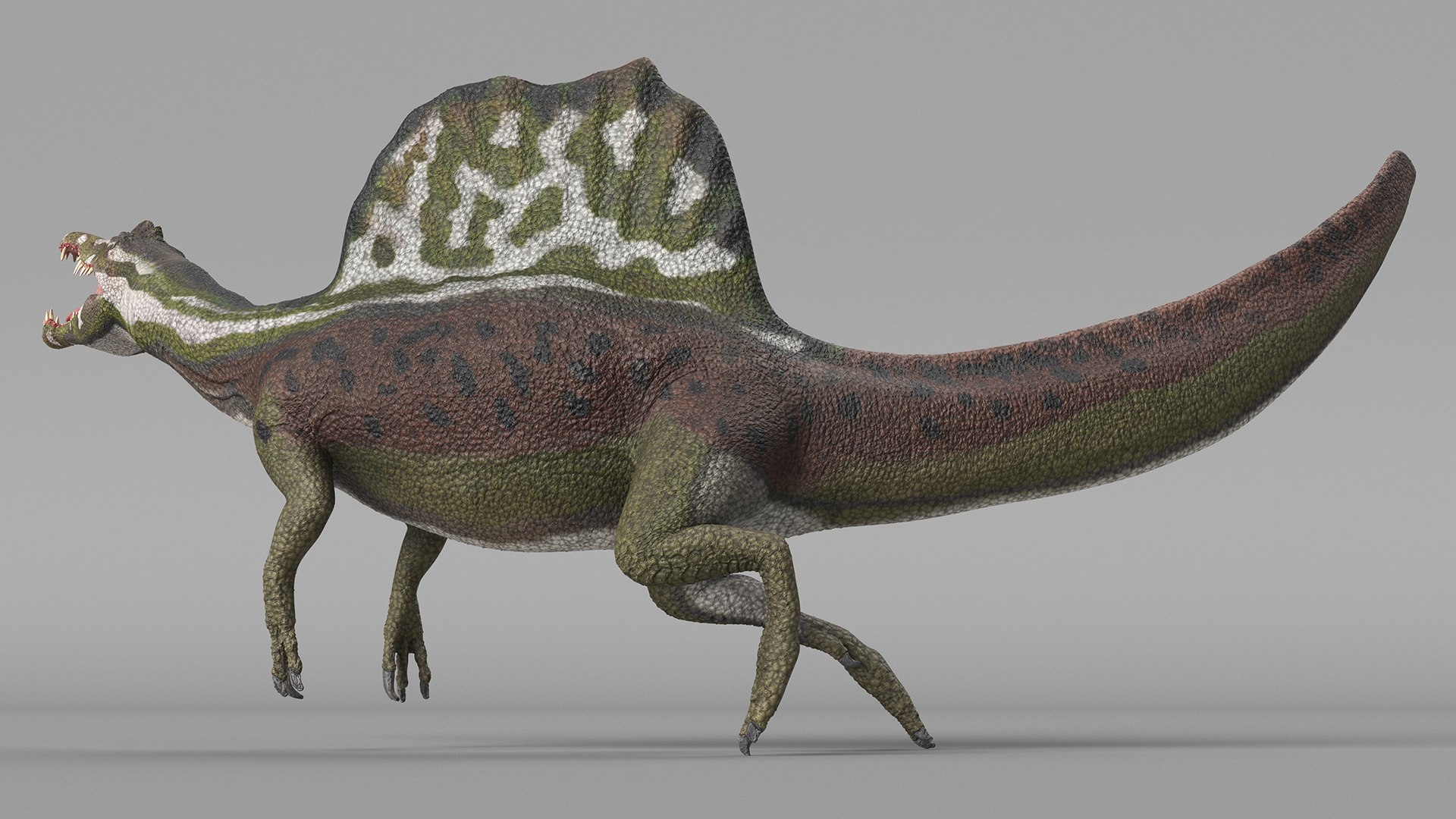 3D Dinosaur Spinosaurus Green Swimming Pose - TurboSquid 2274984