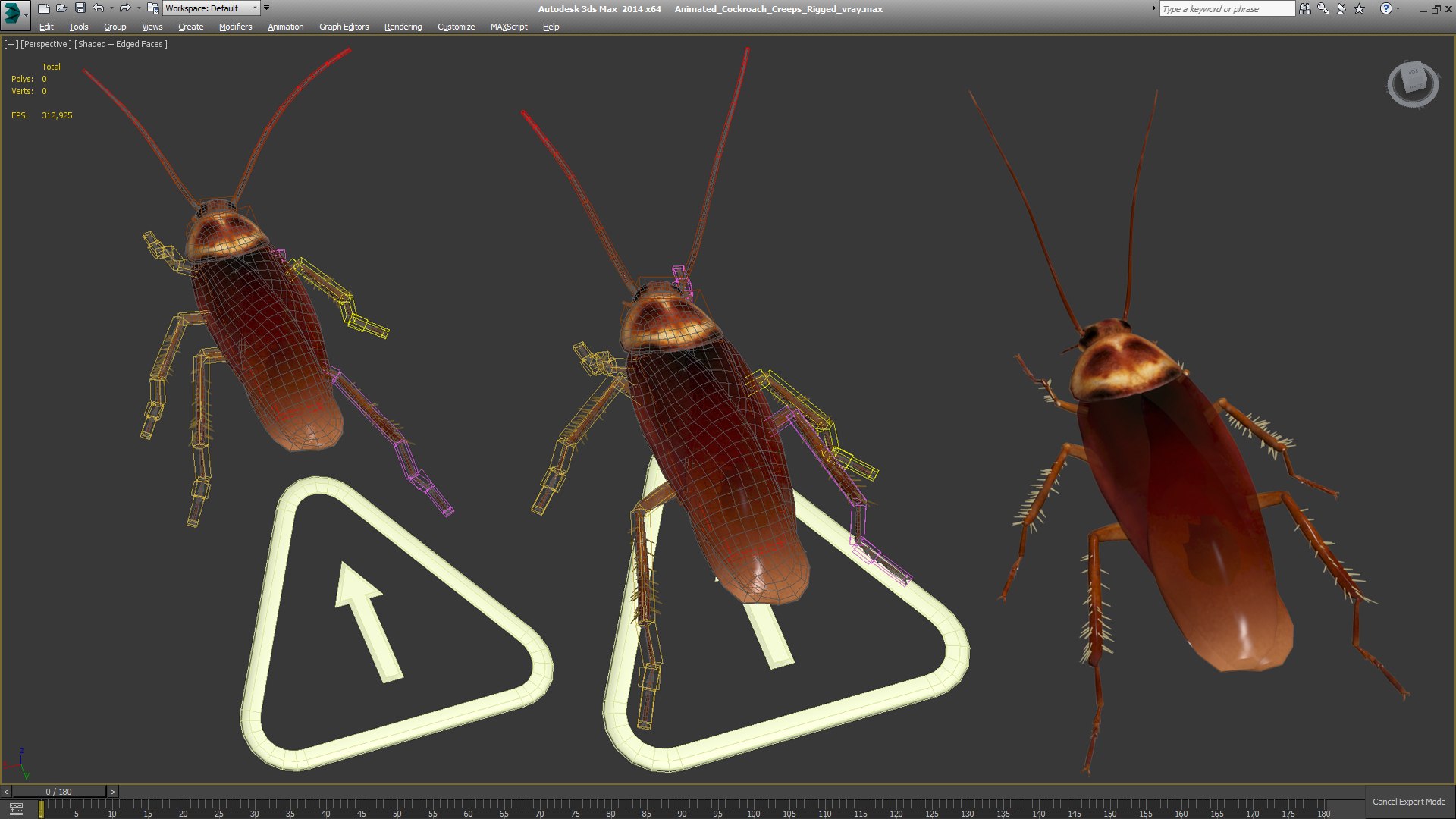 3D cockroach creeps rigged animation - TurboSquid 1487212