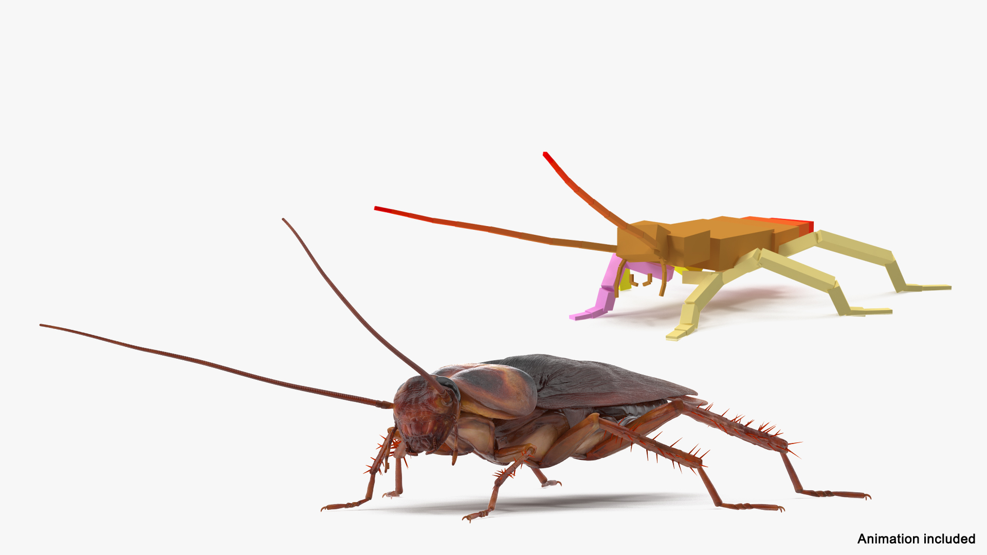 3D Cockroach Creeps Rigged Animation - TurboSquid 1487212