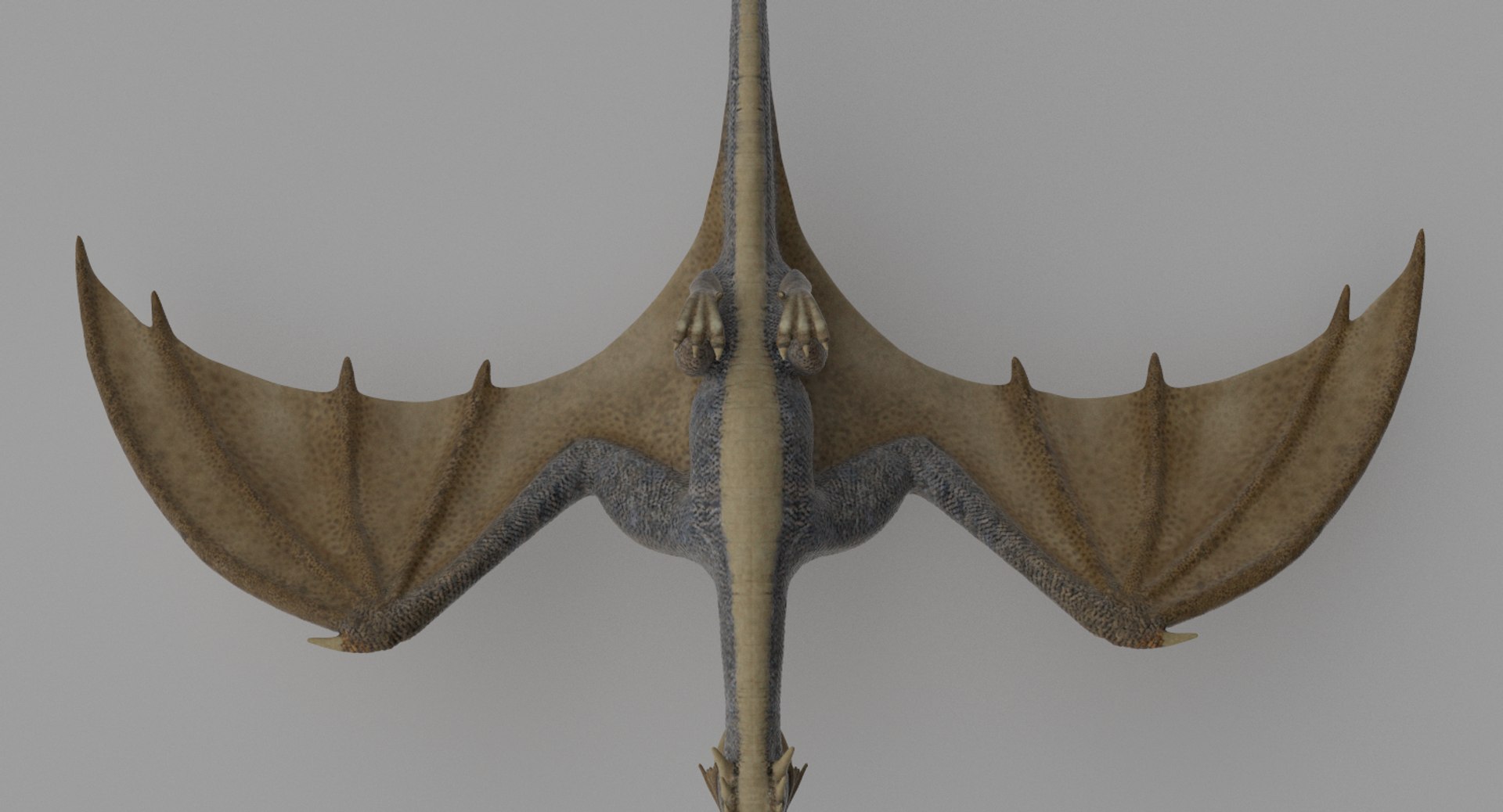 3D wyvern model - TurboSquid 1166178