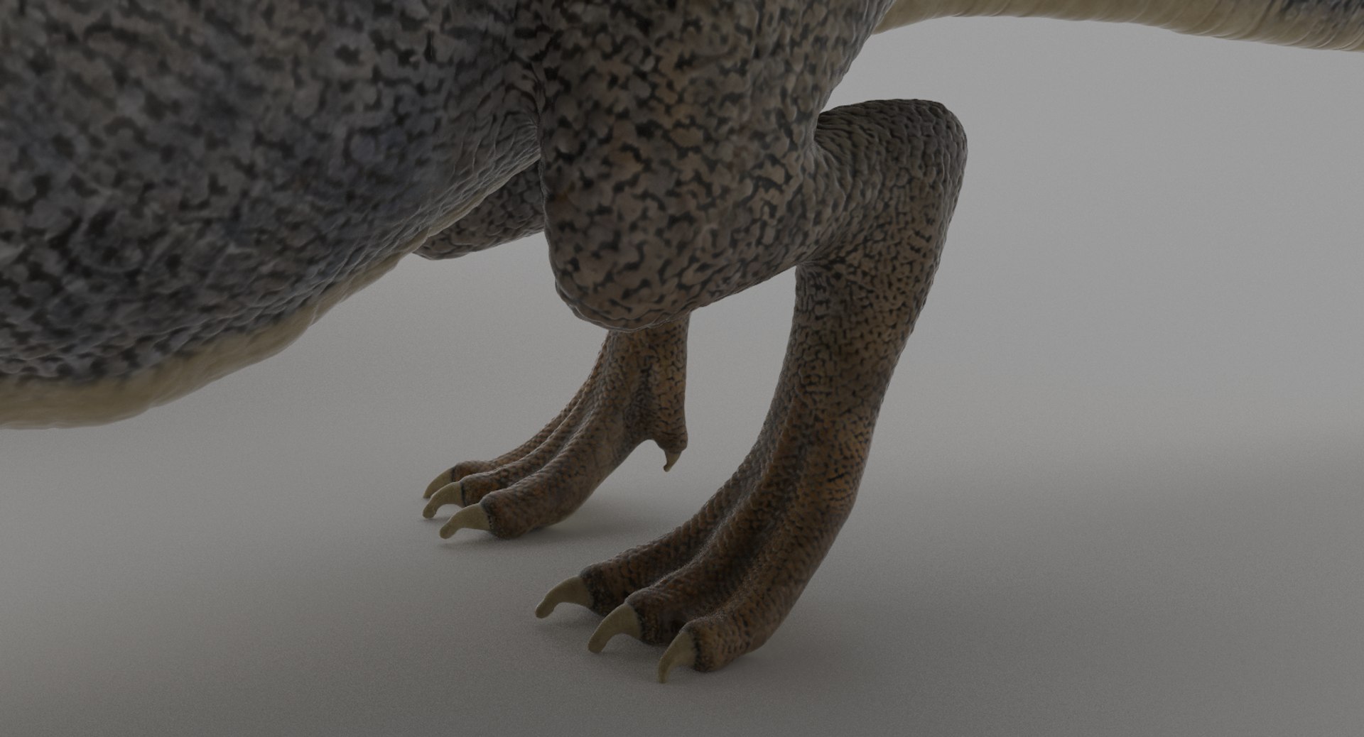 3D wyvern model - TurboSquid 1166178