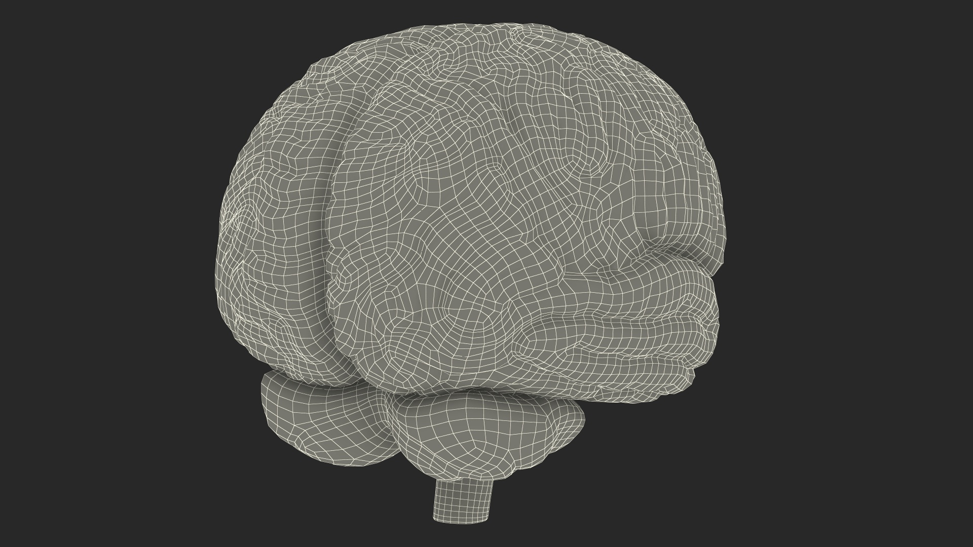 Human Brain Plastic Model With Light 3D Model - TurboSquid 2270133