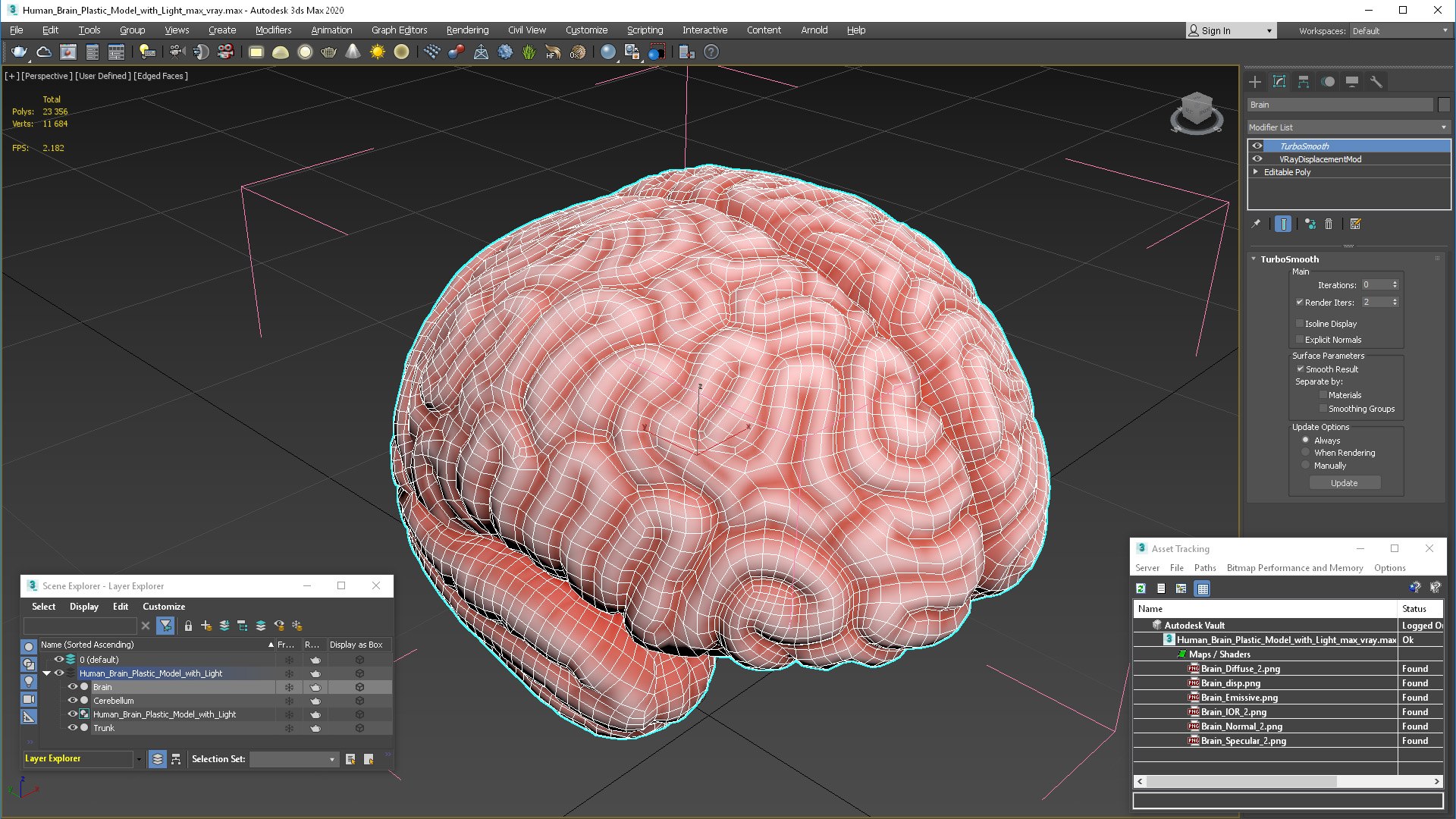 Human Brain Plastic Model With Light 3D Model - TurboSquid 2270133