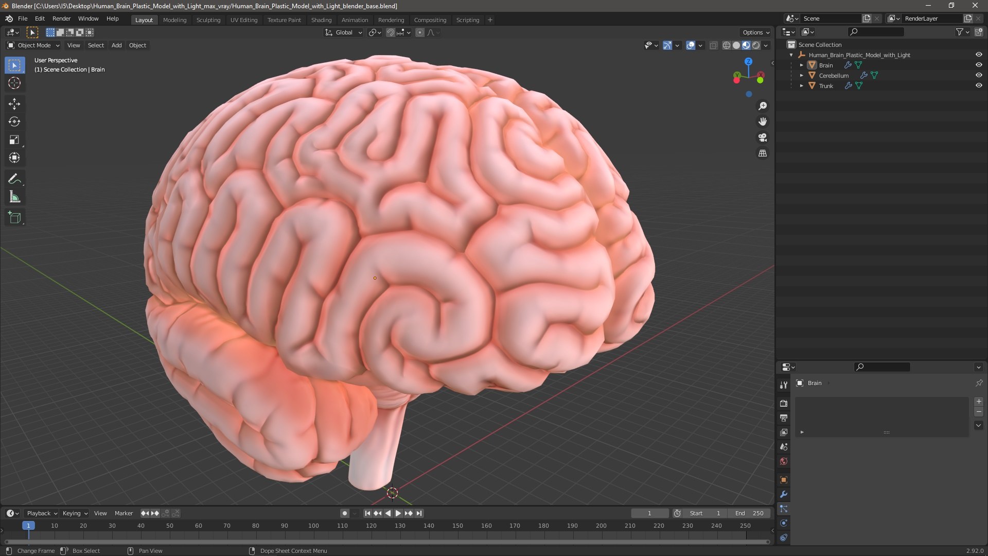 Human Brain Plastic Model With Light 3D Model - TurboSquid 2270133