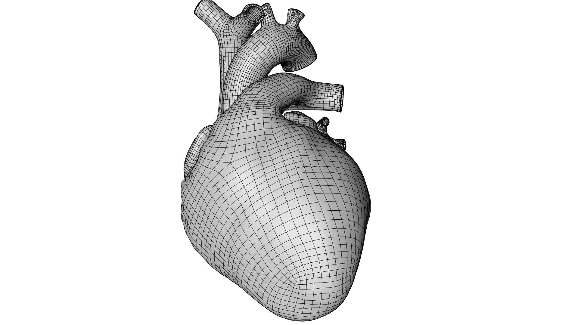 Human Heart Model - TurboSquid 2185931