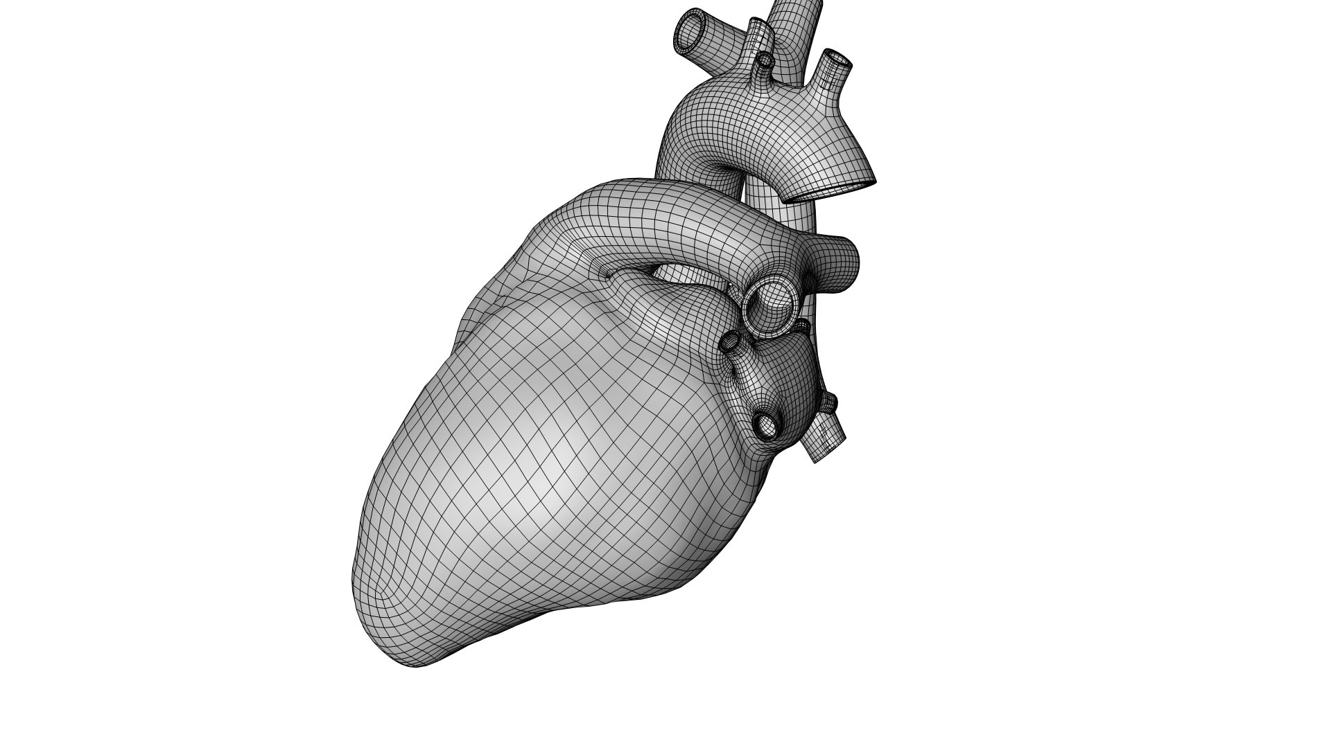 Human Heart Model - TurboSquid 2185931
