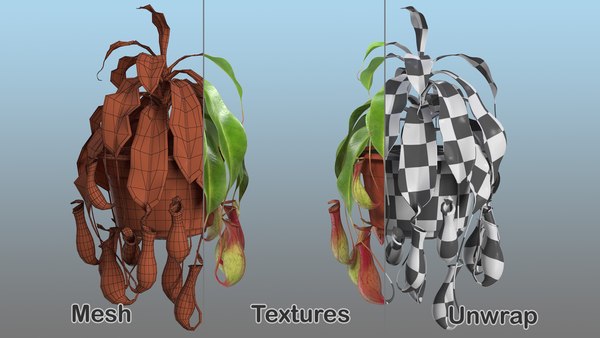 3D model tropical pitcher plant pot - TurboSquid 1625223