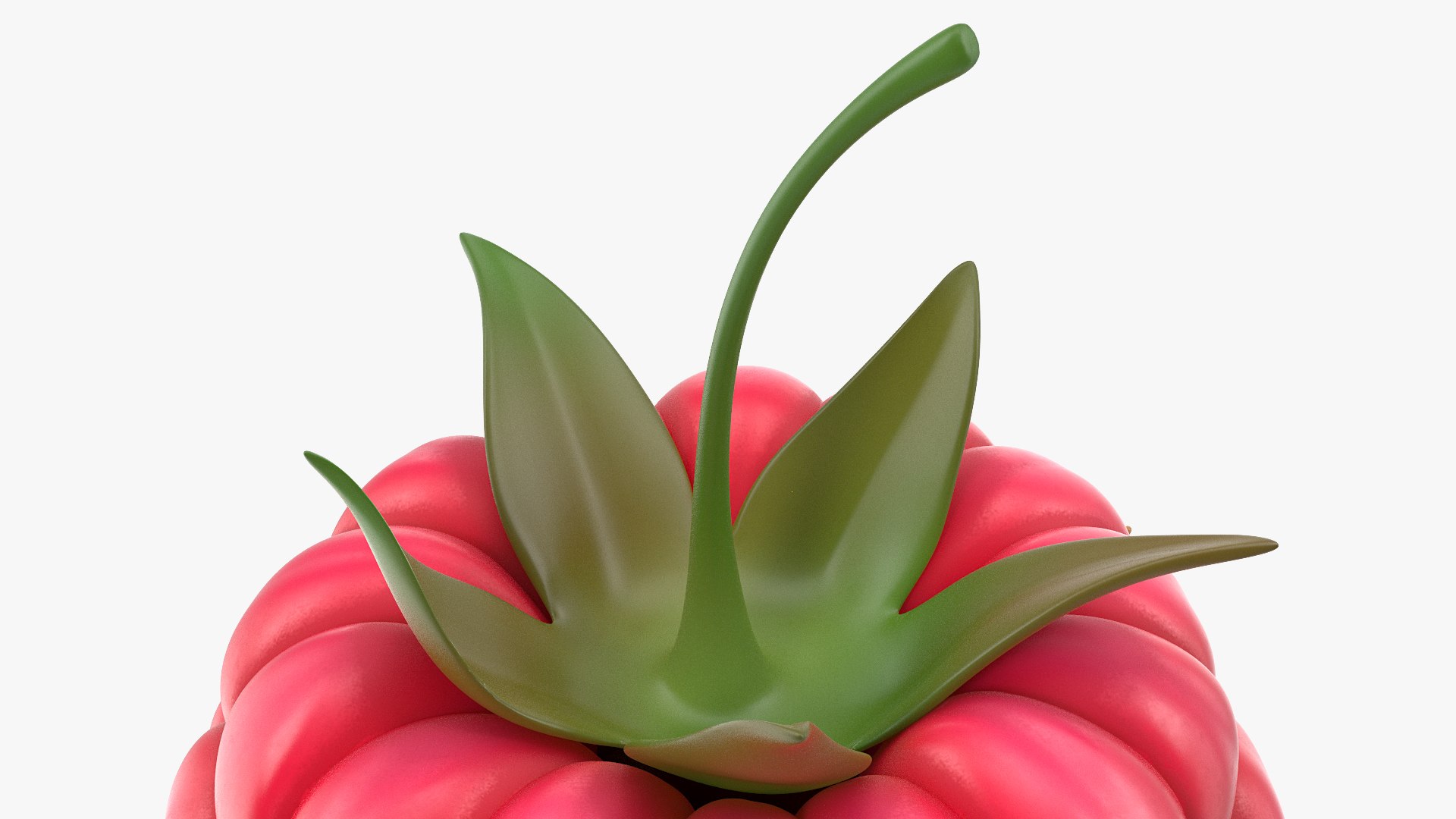 3D Model Fresh Raspberry Berry - TurboSquid 1583305