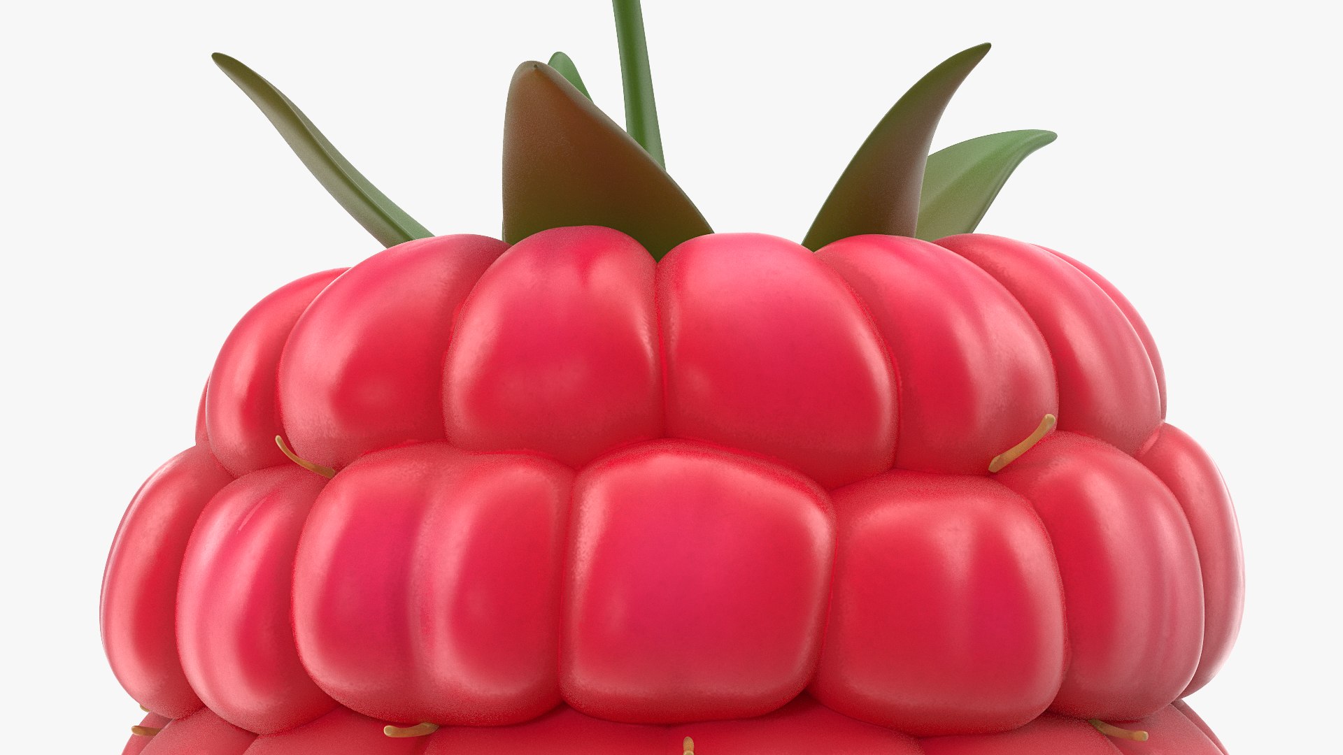 3D Model Fresh Raspberry Berry - TurboSquid 1583305
