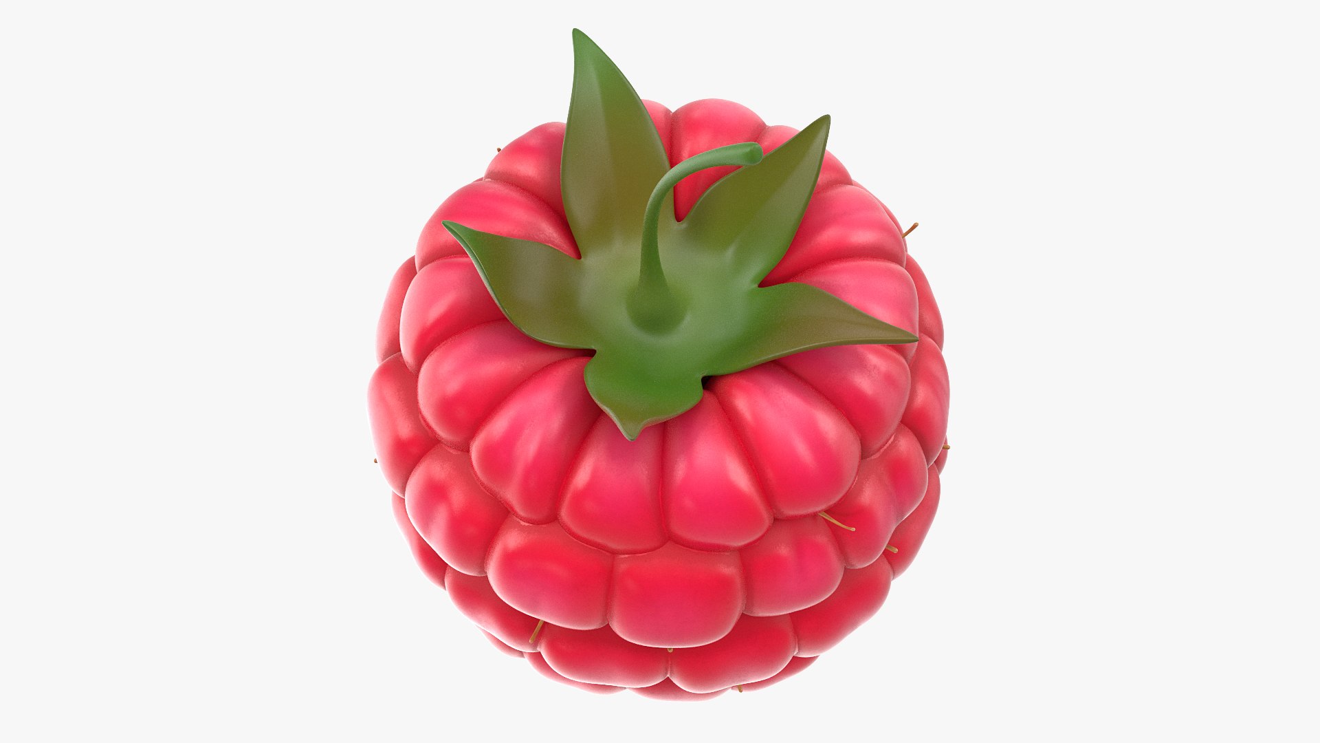 3D Model Fresh Raspberry Berry - TurboSquid 1583305