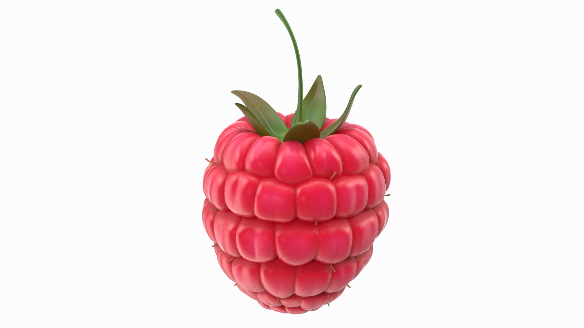 3D Model Fresh Raspberry Berry - TurboSquid 1583305