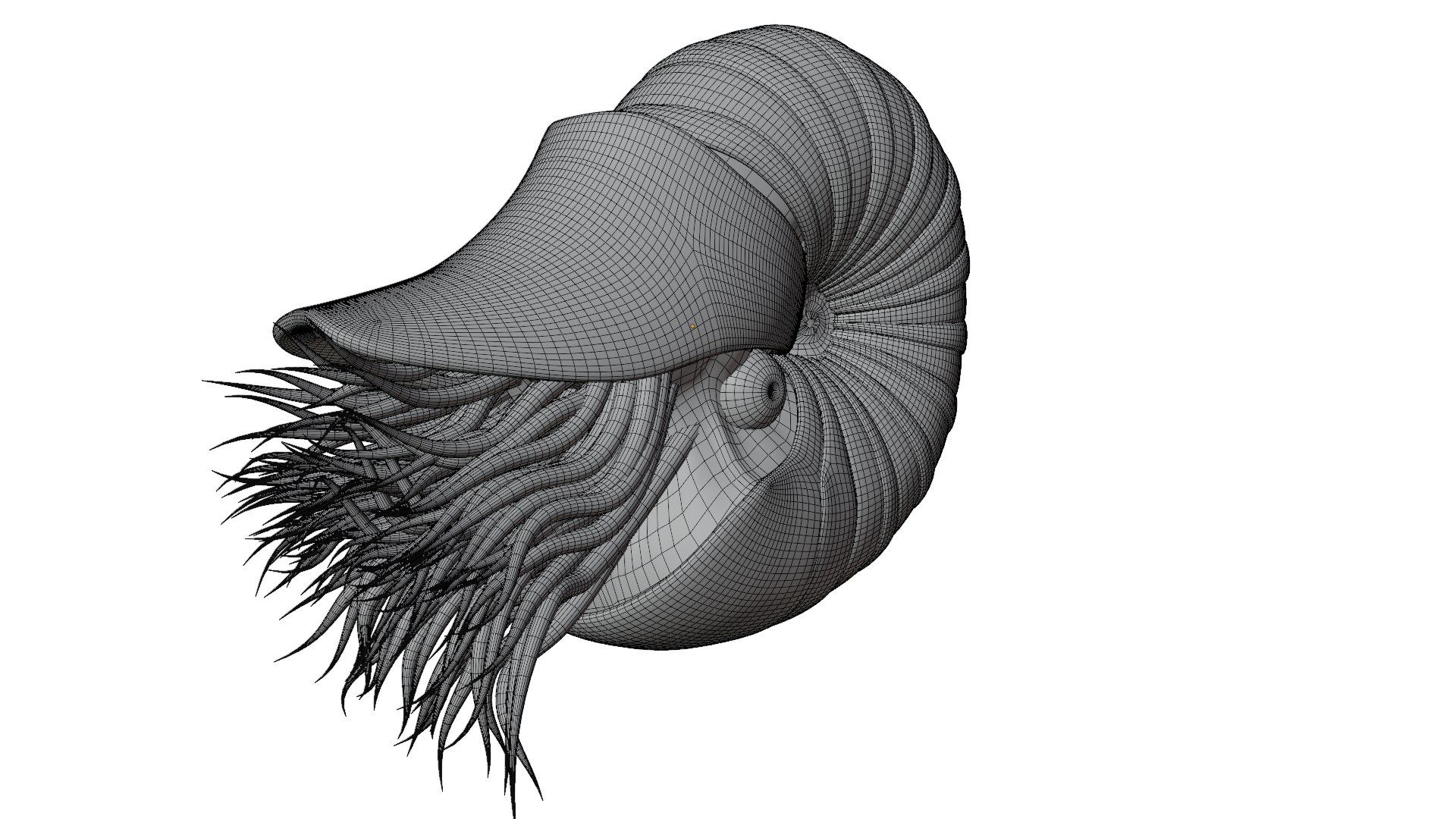 3D Nautilus - TurboSquid 2224288