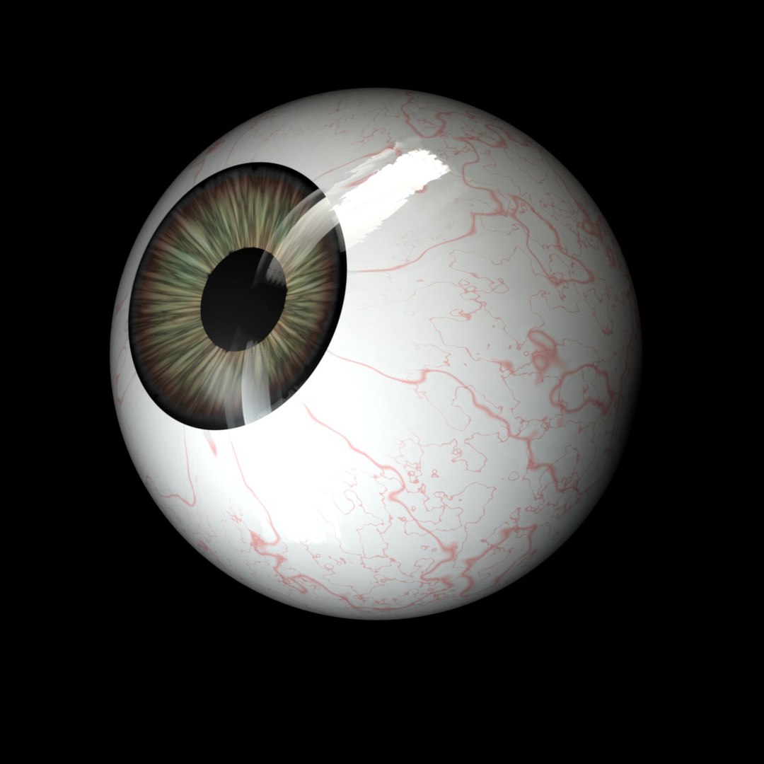 3d Model Realistic Human Eye