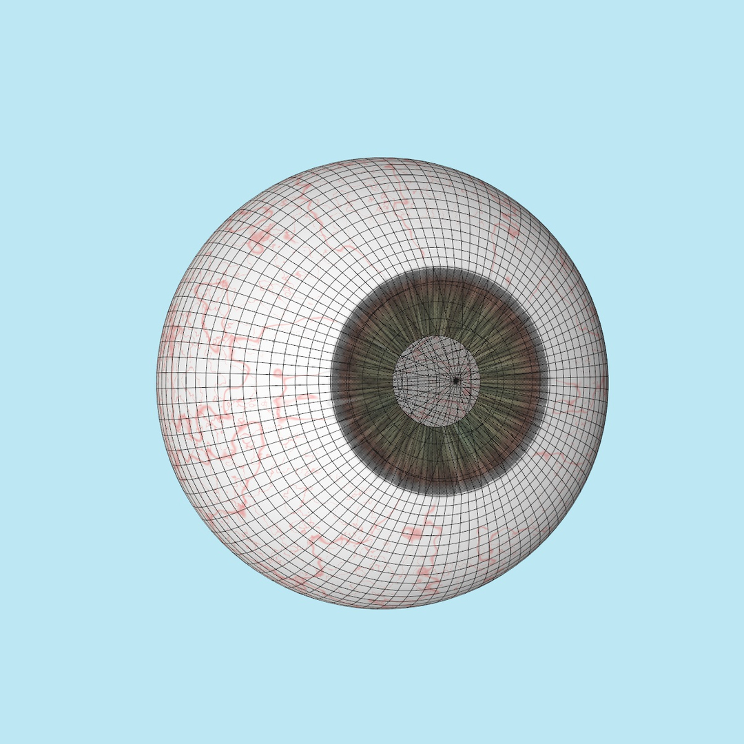3d Model Realistic Human Eye