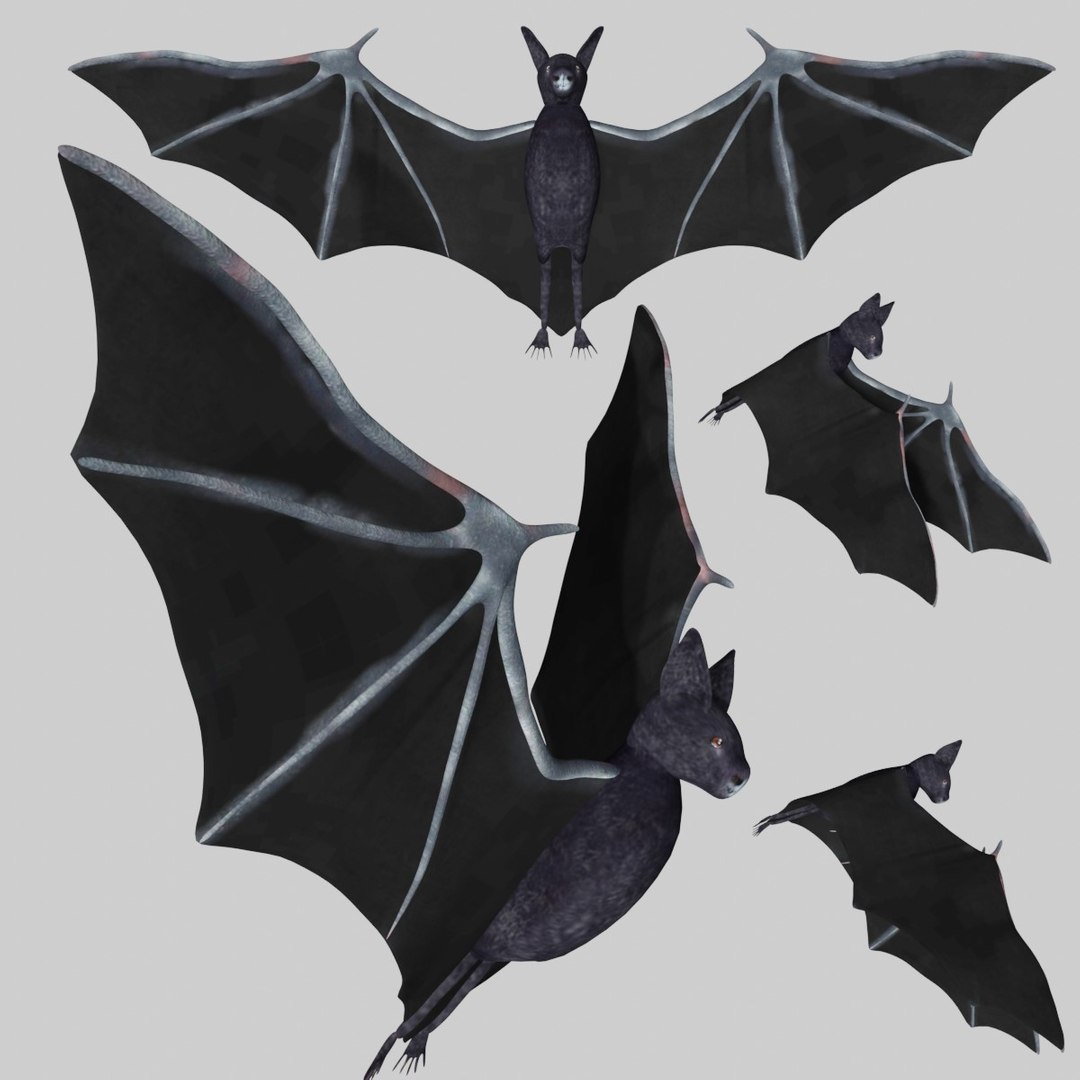 Rigged Bat 3D Model - TurboSquid 1751449