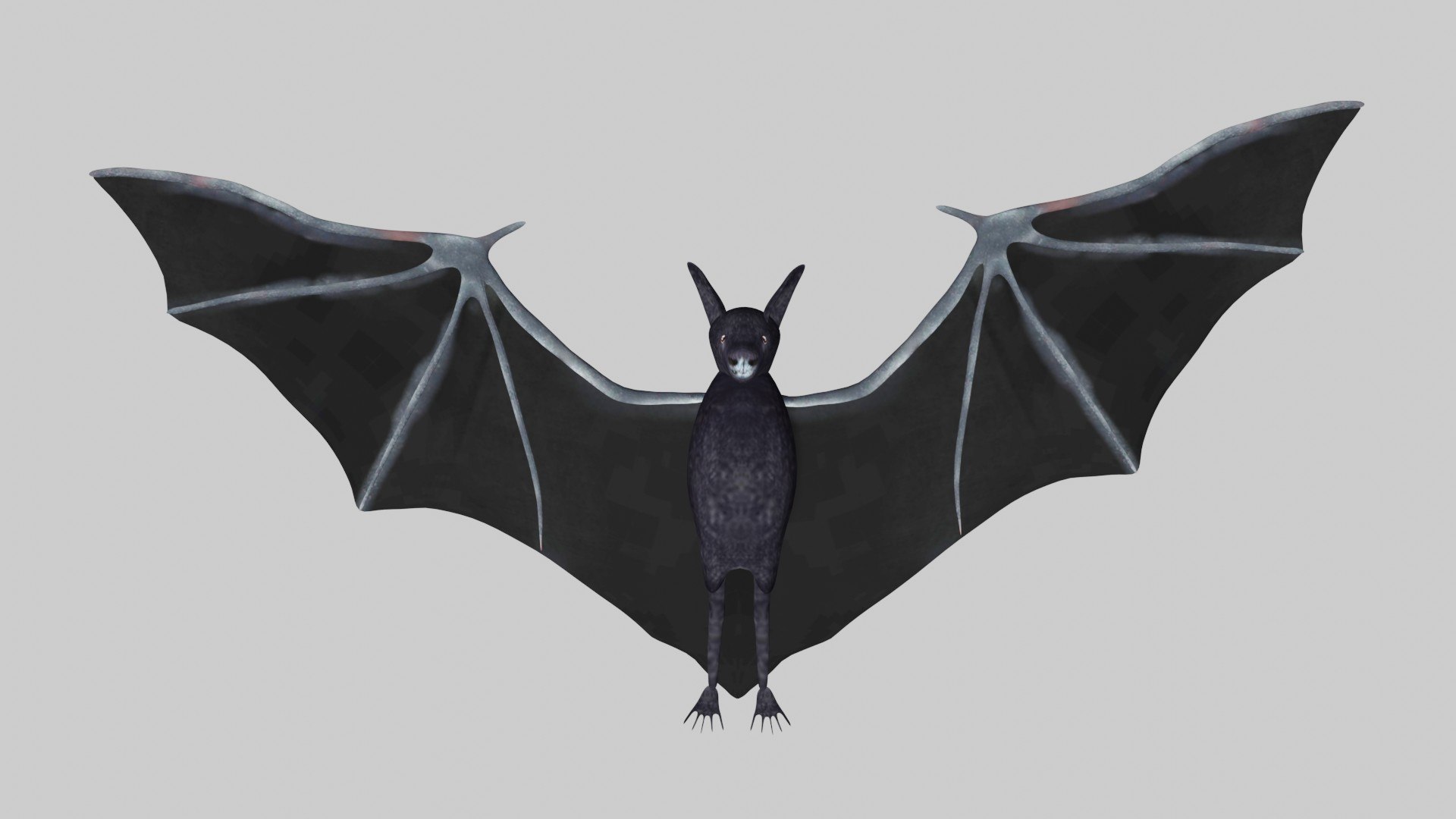 Rigged Bat 3D Model - TurboSquid 1751449