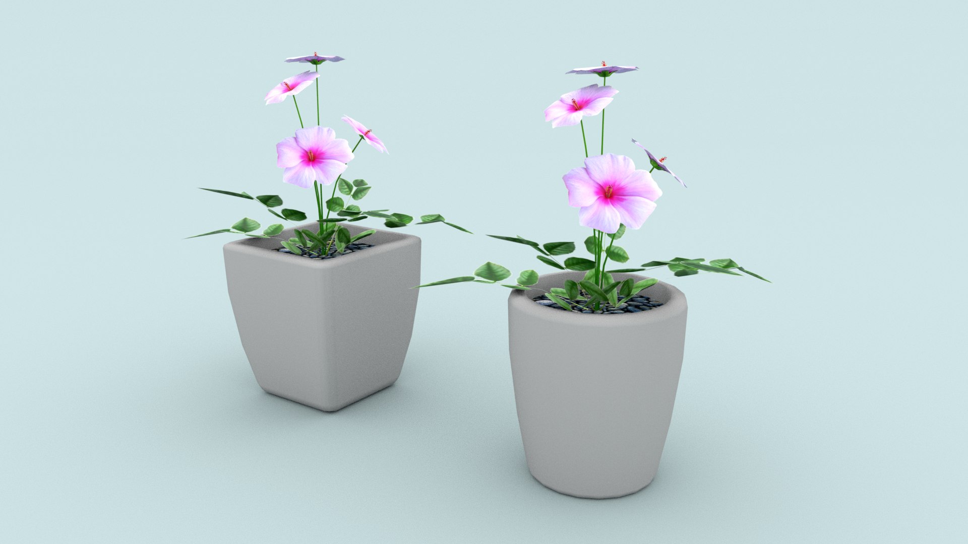 6 Low Poly Flowers Collection 01 With Two Different Pots Low-poly 3D ...
