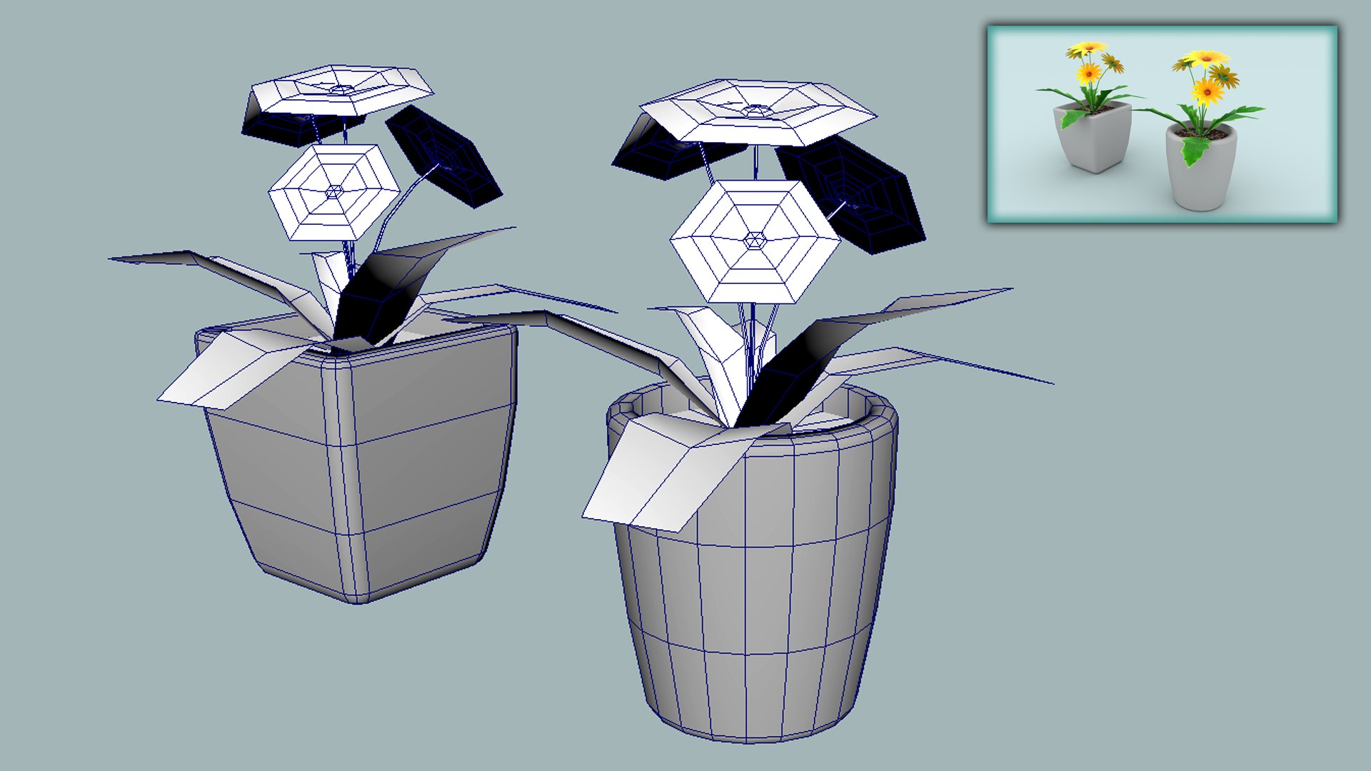6 Low Poly Flowers Collection 01 With Two Different Pots Low-poly 3D ...