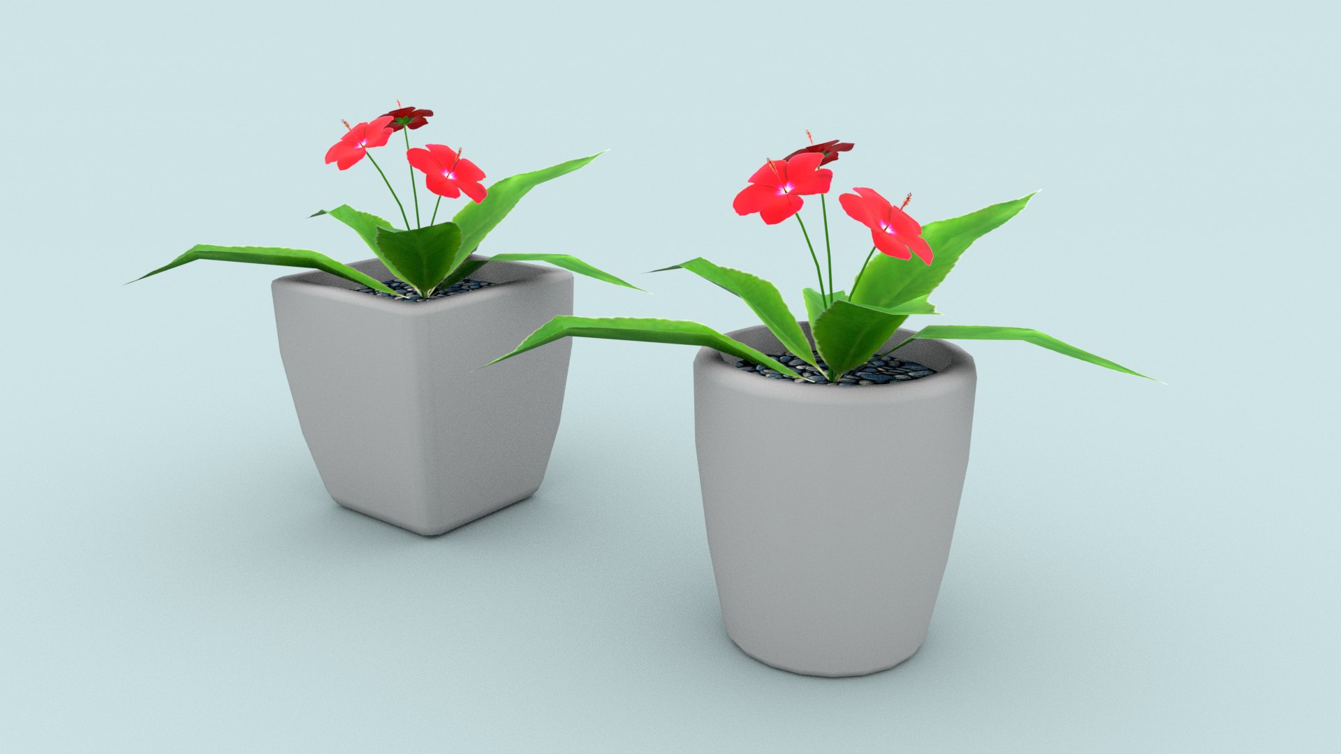 6 Low Poly Flowers Collection 01 With Two Different Pots Low-poly 3D ...