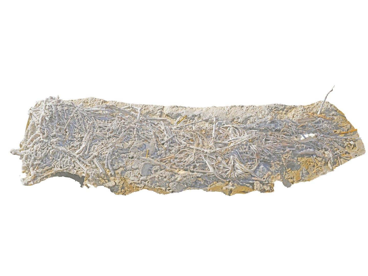 Dead Sea Roots Salt Model - TurboSquid 1378116