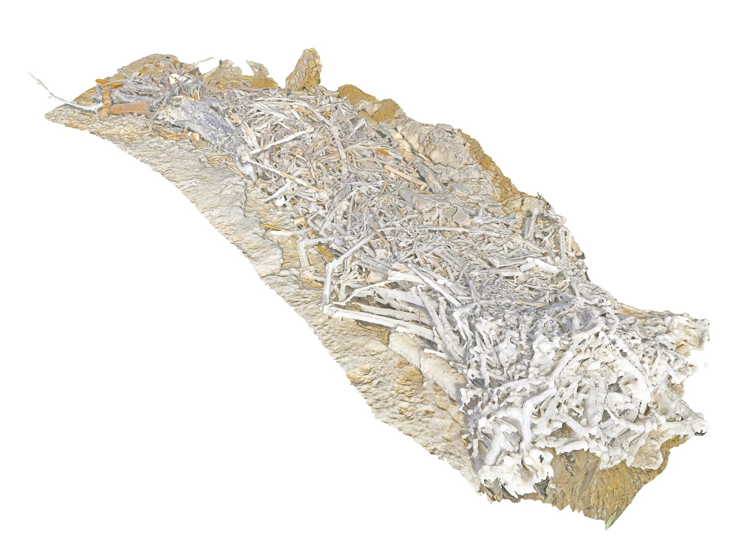 Dead Sea Roots Salt Model - TurboSquid 1378116