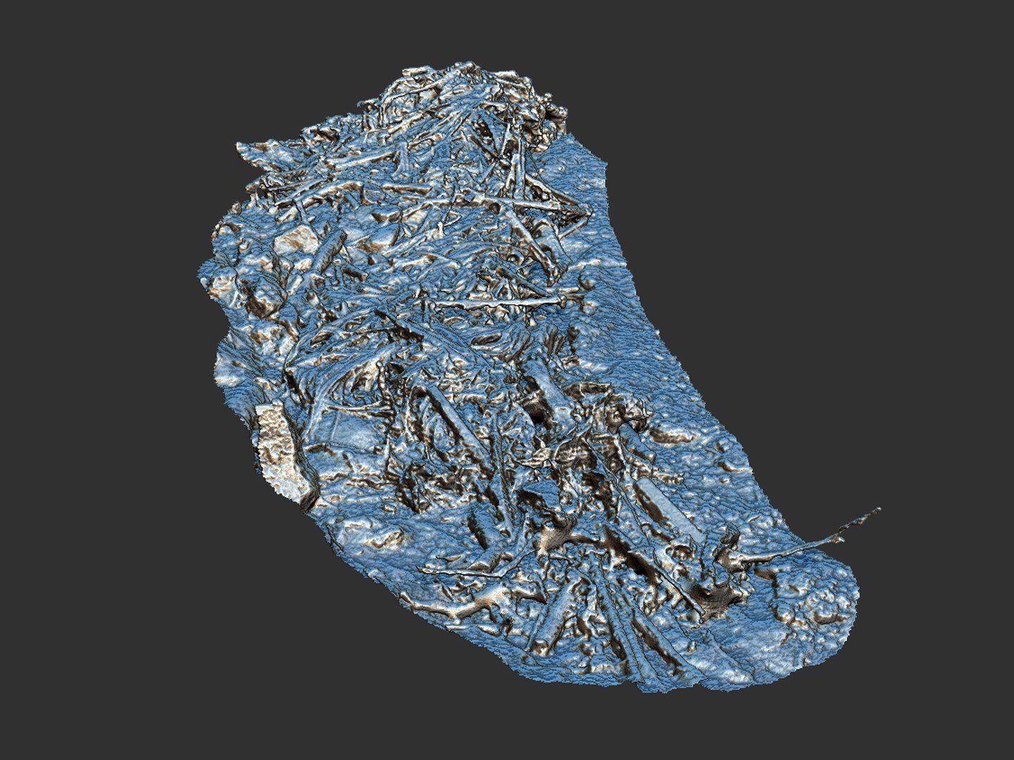 Dead Sea Roots Salt Model - TurboSquid 1378116