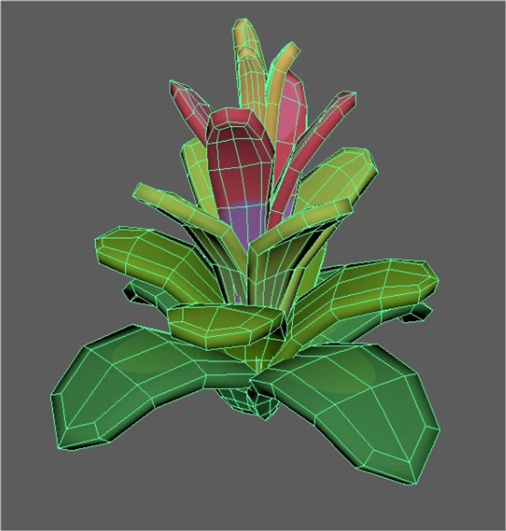 Cartoon plant 3D model - TurboSquid 1646756