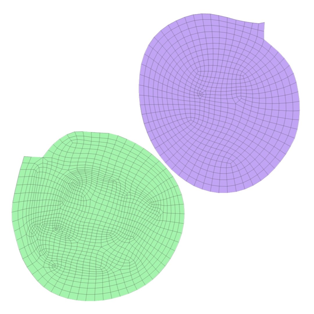 3D Crusty Round Italian Bread - Extreme Definition 3D Scanned ...